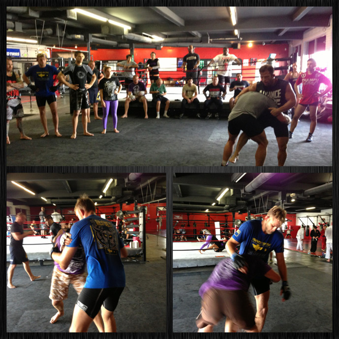 Alexander Gustafsson in the BAD BOY UFC 165 Walkout Shirt ...