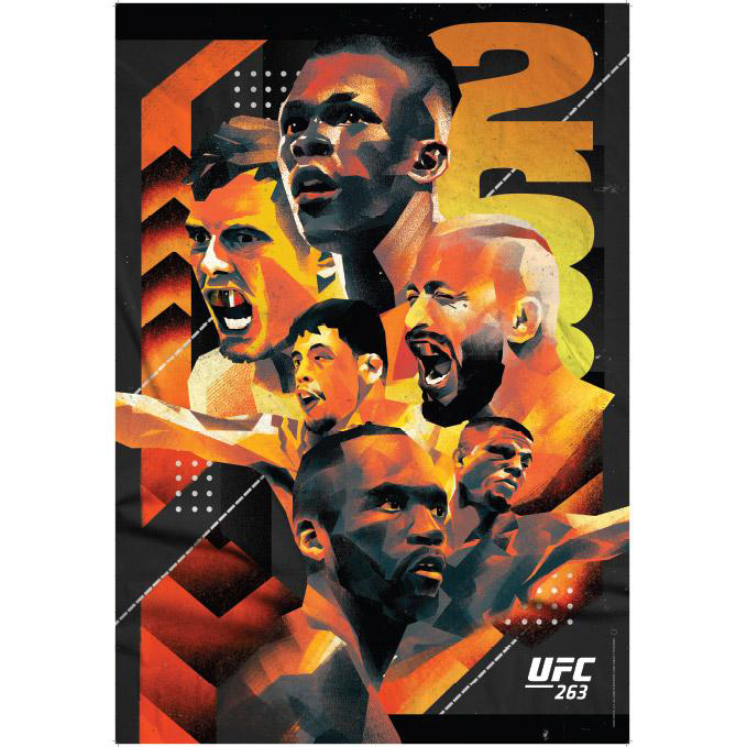 UFC 263 Artist Series Shirt and Poster