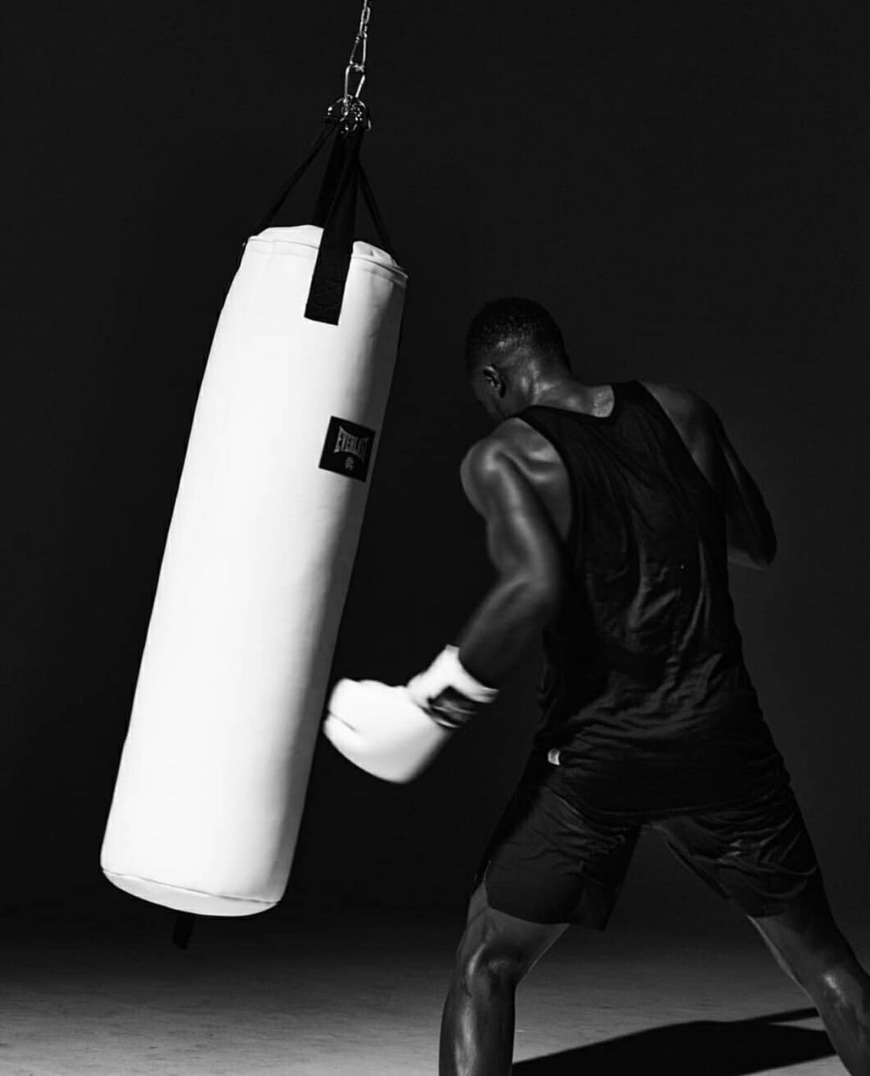Everlast x Reigning Champ Boxing Gloves