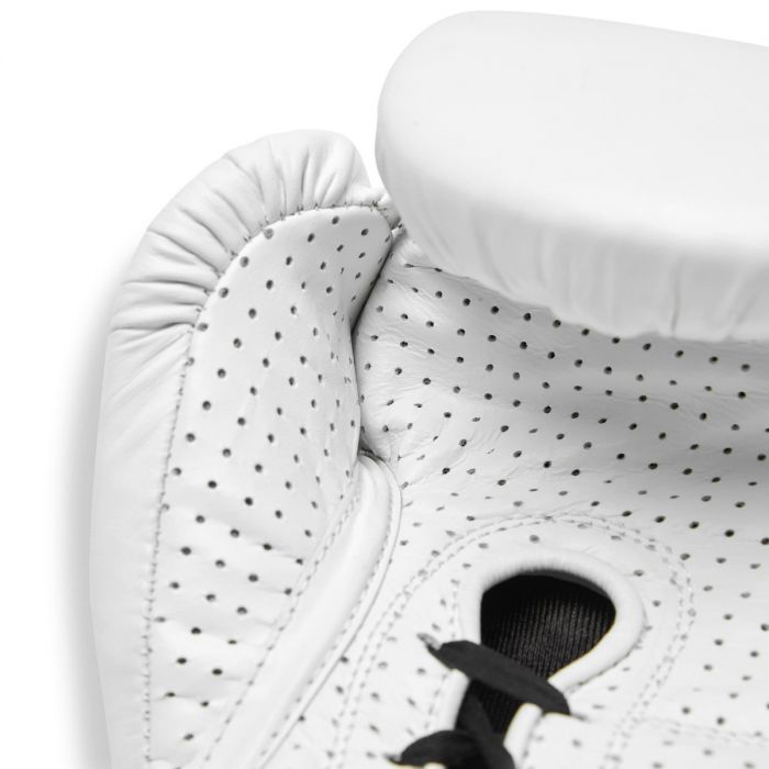 Everlast x Reigning Champ Boxing Gloves